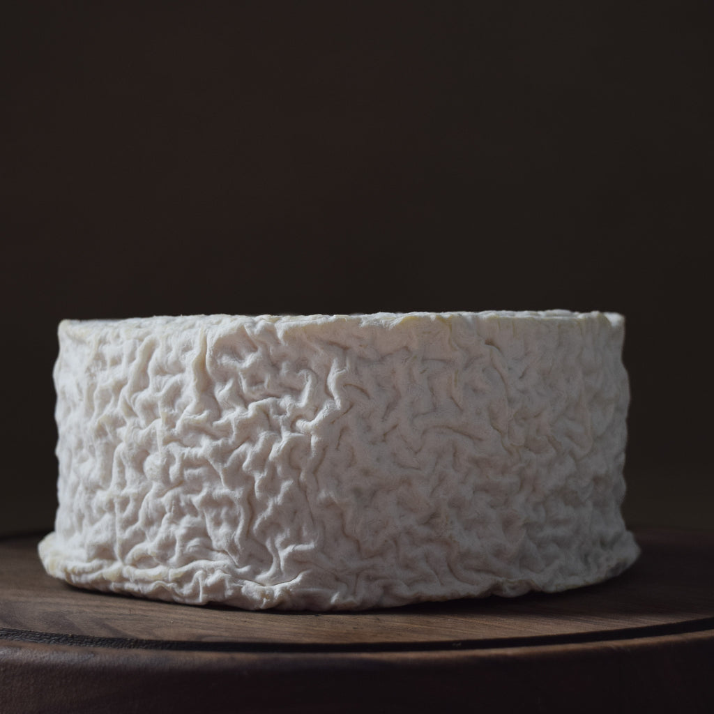 Shabby Shoe | Buy Blakesville Creamery Cheese Online | Saxelby Cheese