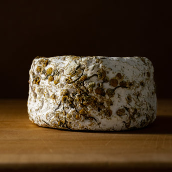 Find Artisanal Cheese & Buy Cheese Online | Saxelby Cheese