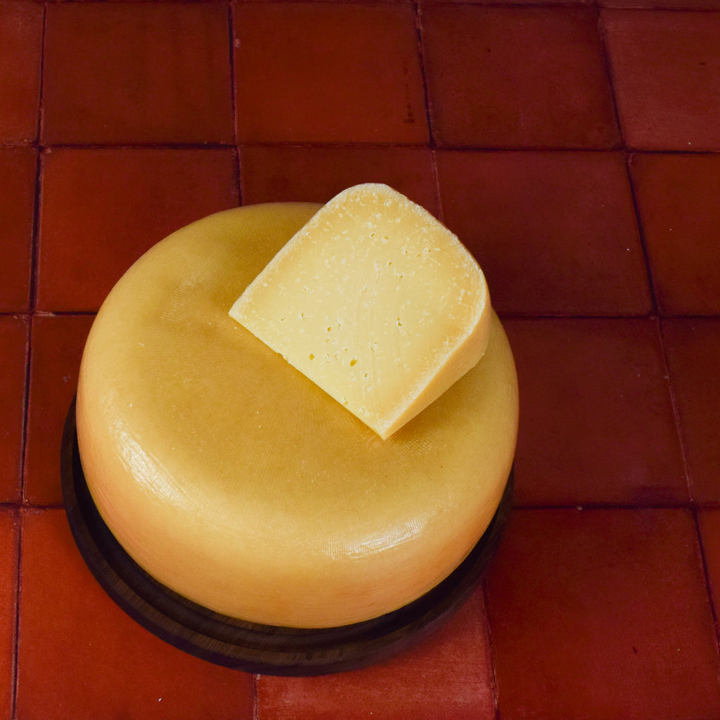 Duet Gouda | Saxelby Cheese
