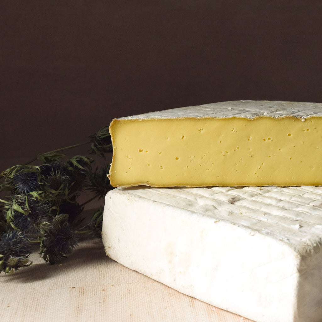 Appalachian Cheese | Saxelby Artisan Cheese | Saxelby Cheese