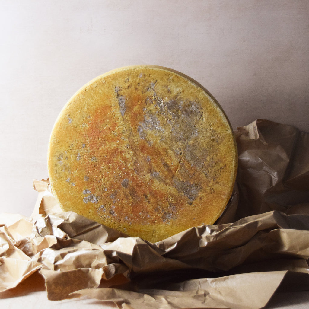 Alpha Tolman | Saxelby Cheese
