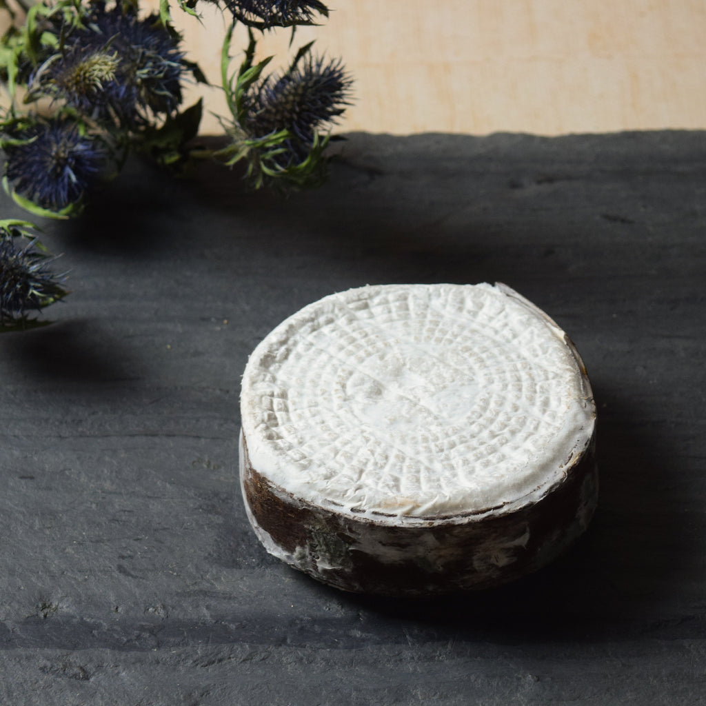 Merry Goat Round Spruce Reserve | Saxelby Cheese
